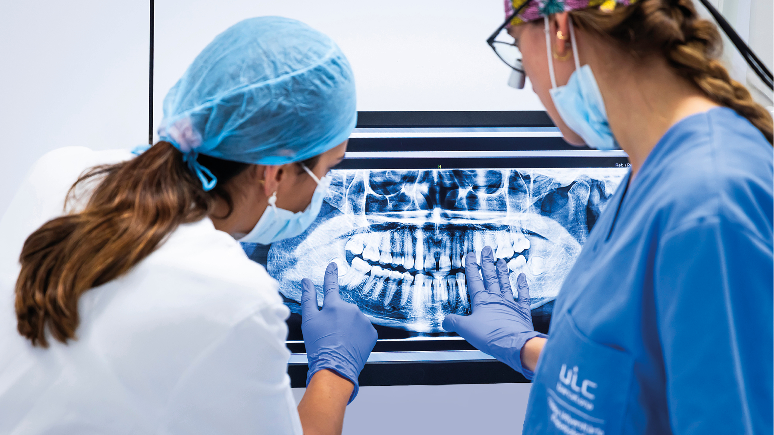 Bachelor’s Degree in Dentistry - English Programme | Universitat ...